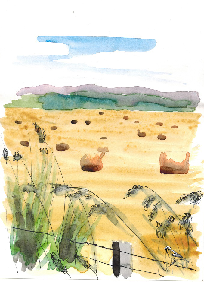 Sun-Filled Days of Summer | Lynda Symons Artistry